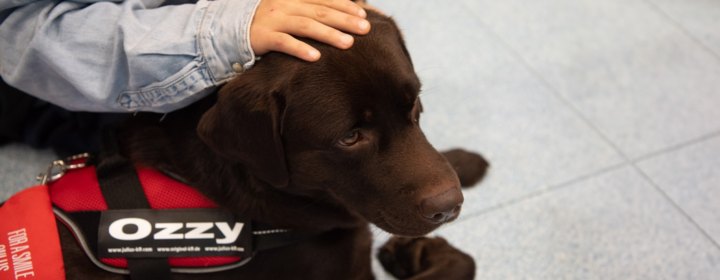 Progetto Dog-Pet Therapy Promosso da A Smile Onlus ETS | Purina IT