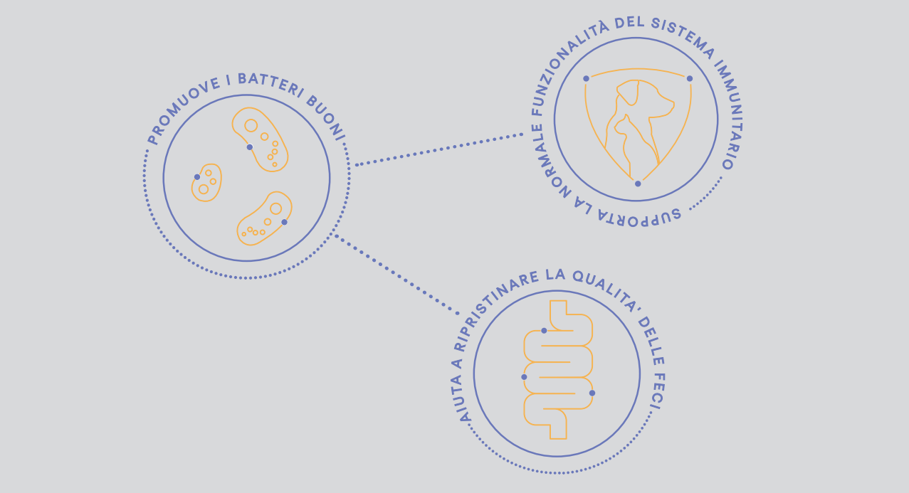 Gamma Purina PRO PLAN Fortiflora Probiotici | Purina